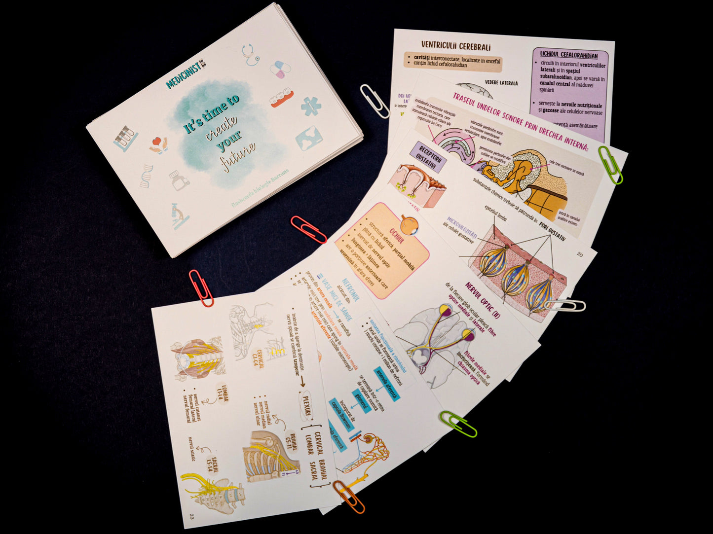FLASHCARDS BARRONS - ADMITERE UMF TG. MUREȘ & IAȘI – MEDICINIST
